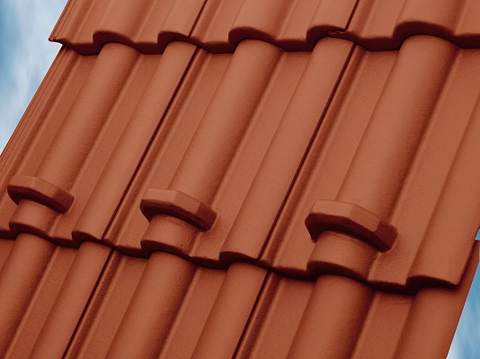 Acoperisul - sistemele parazapada - Misiunea Casa