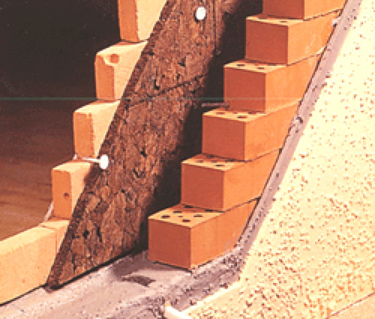 Pluta - materialul revolutionar pentru izolatii - Misiunea Casa